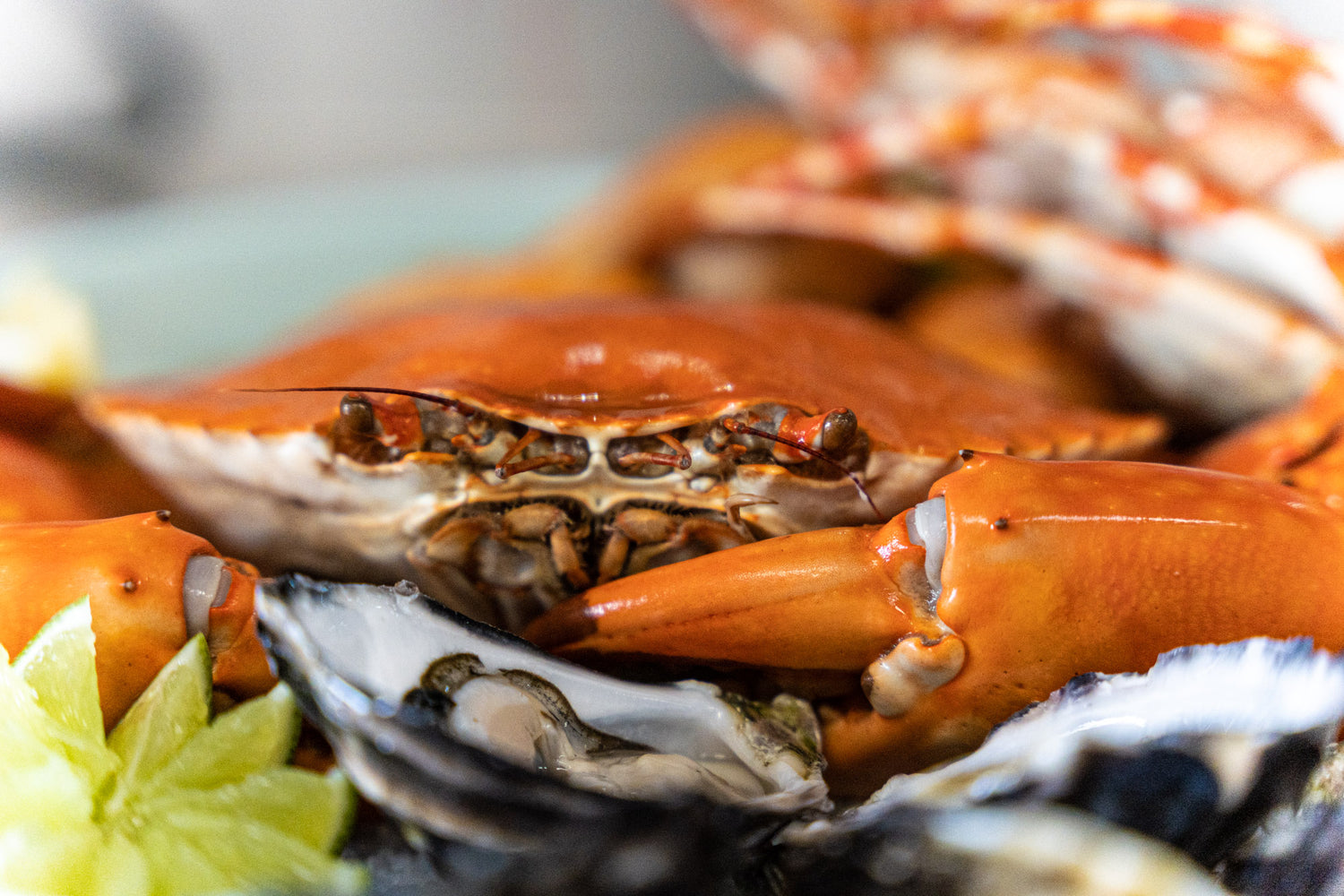 Port Seafood