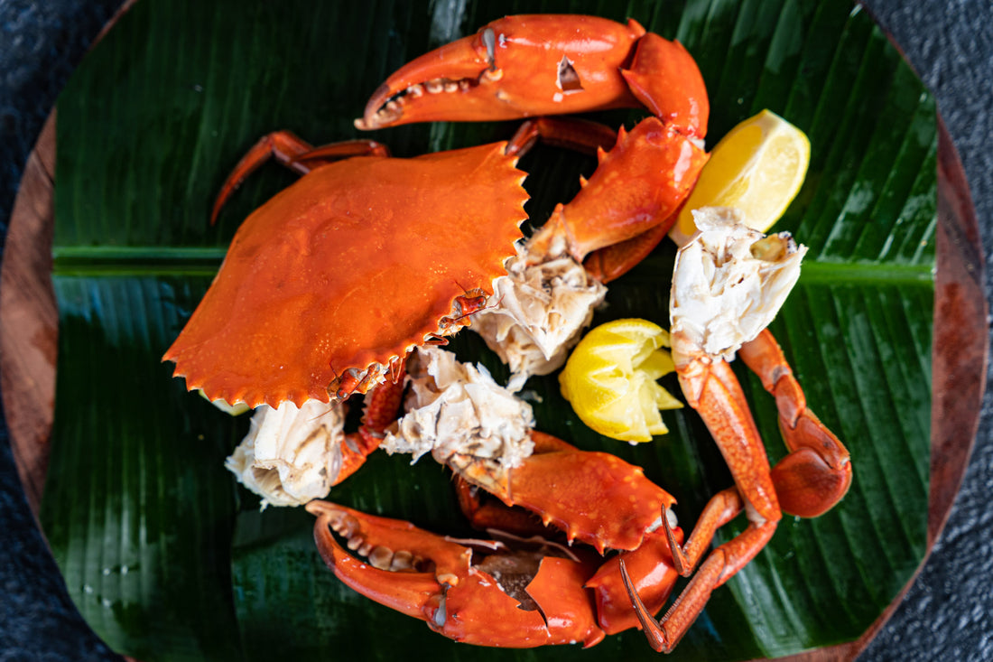 Port Seafood